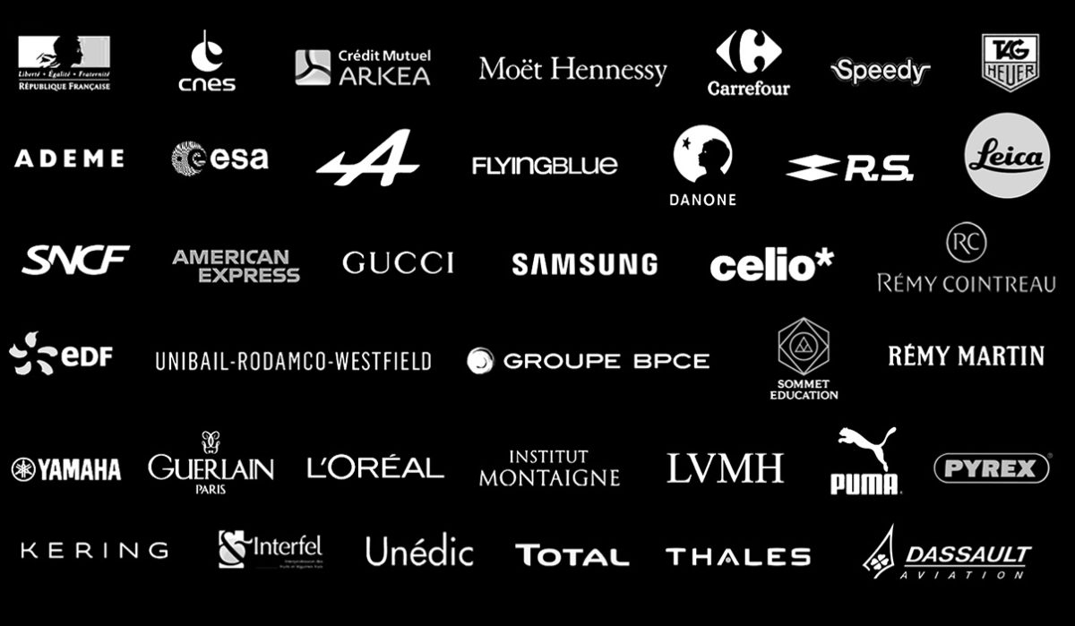 Experts en analyse des réseaux sociaux - Bloom Social Analytics